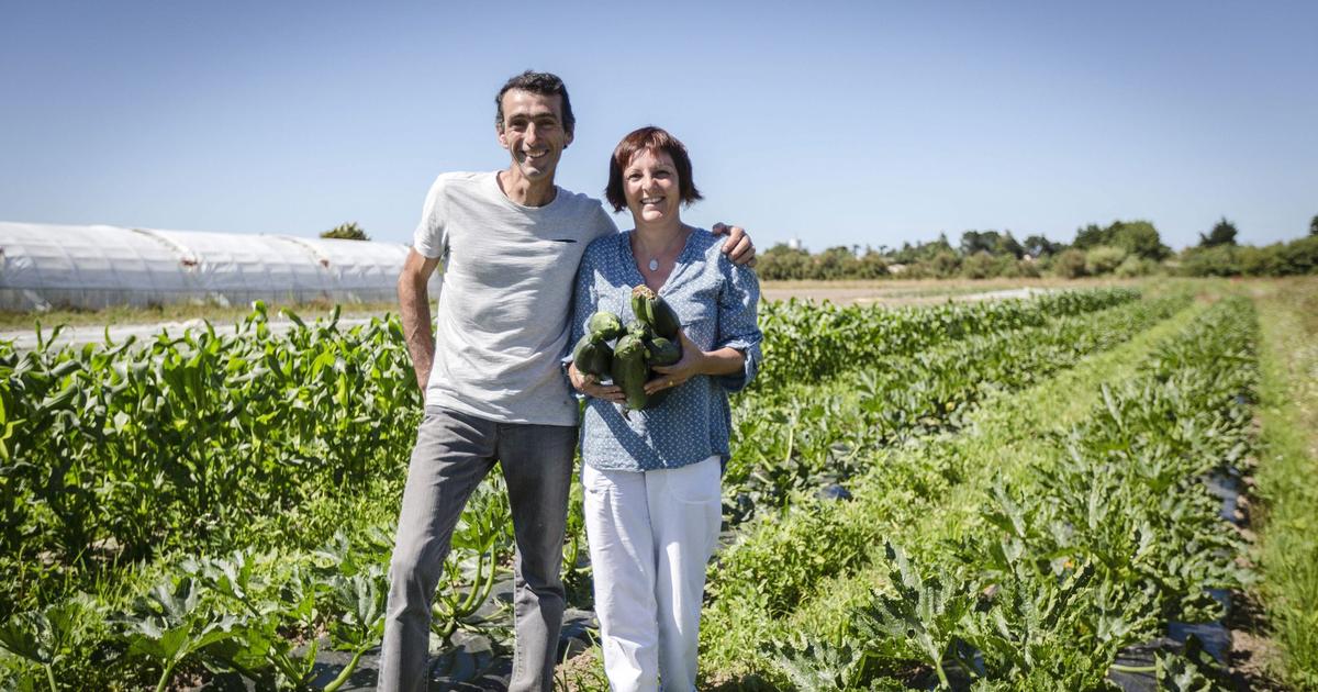 L'agriculture bio gagne du terrain presque partout en Europe