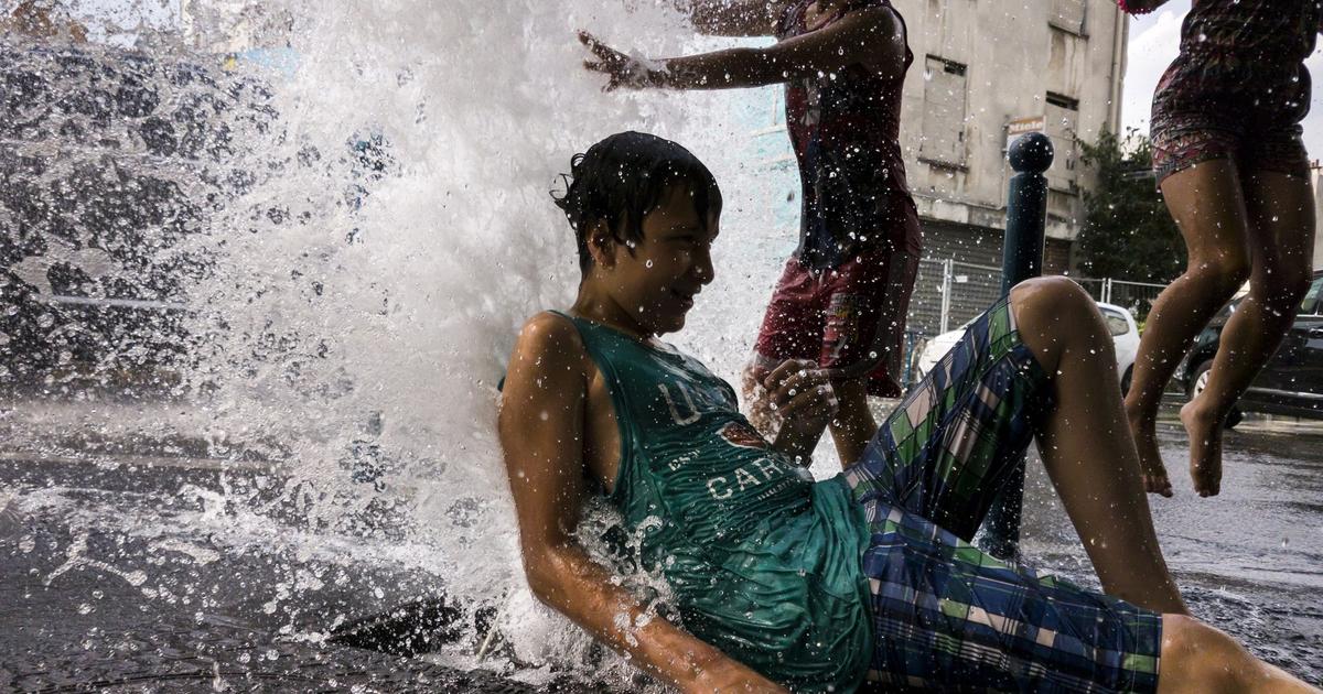 Canicule : les conséquences inattendues d'un épisode exceptionnel