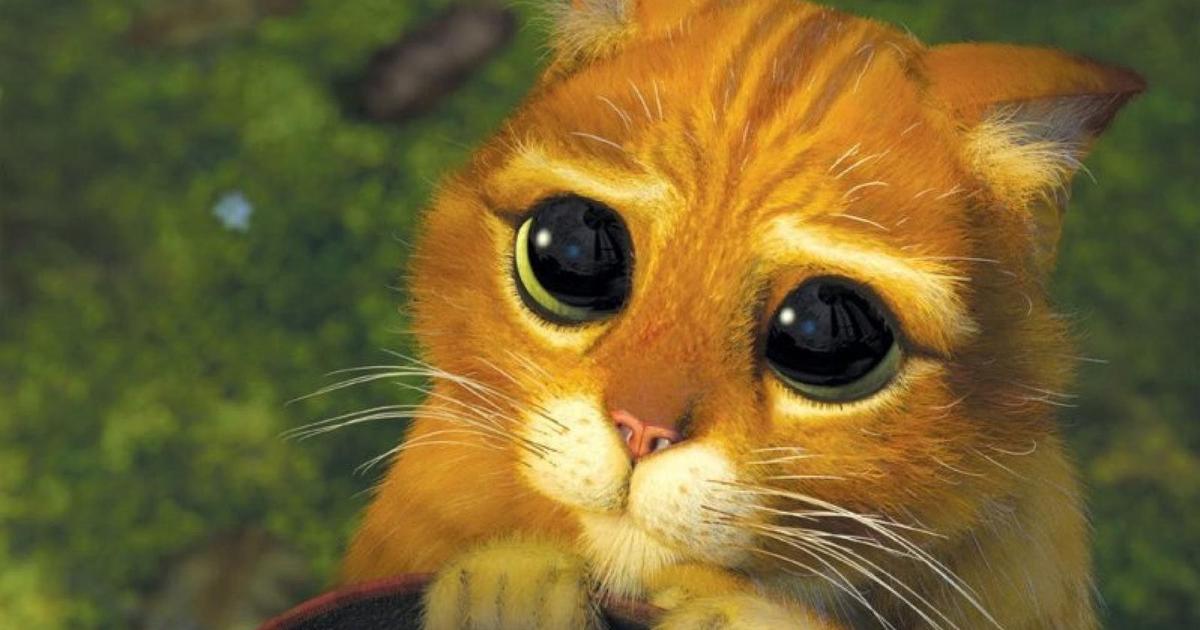 Journée internationale du chat, cette star de cinéma irrésistible