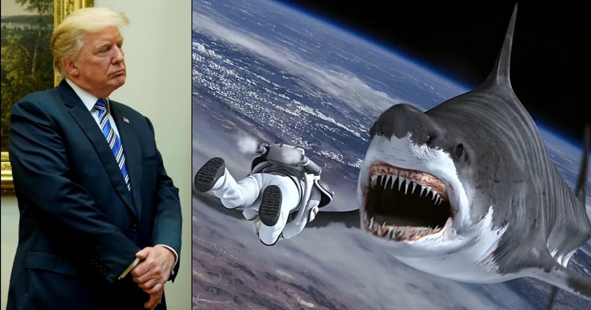 Sharknado: Donald Trump aurait dû jouer dans le plus improbable des nanars