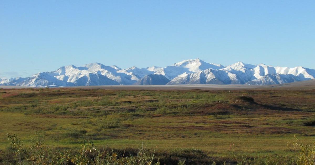 La toundra, passeur de mercure pour l'océan Arctique