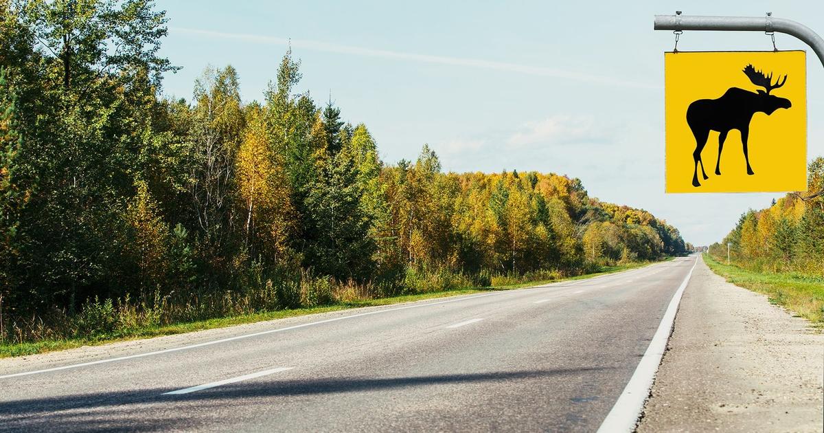 Jasez-vous le québécois