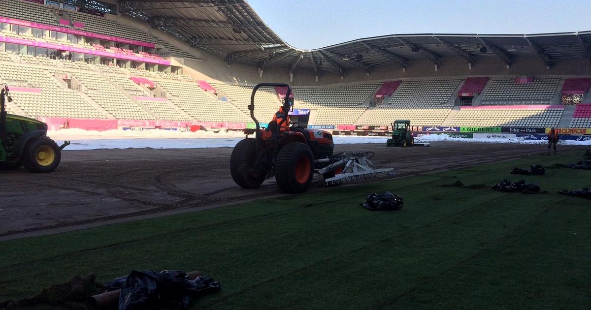 Stade Français : Jean-Bouin fait pelouse neuve
