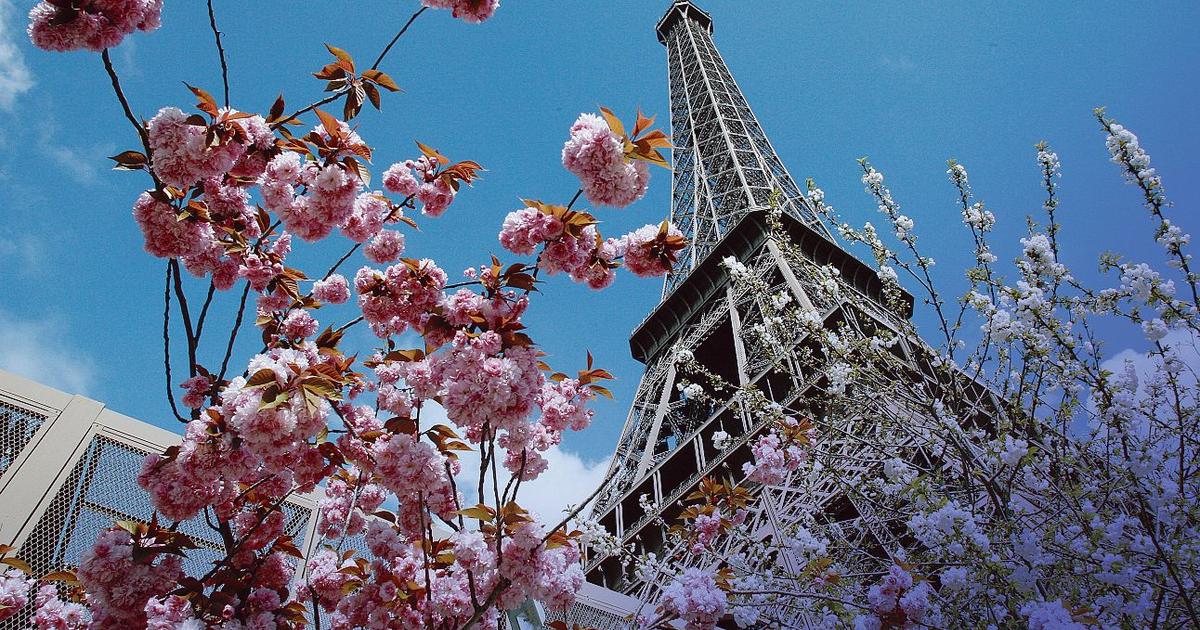 D'où vient le mot «printemps»