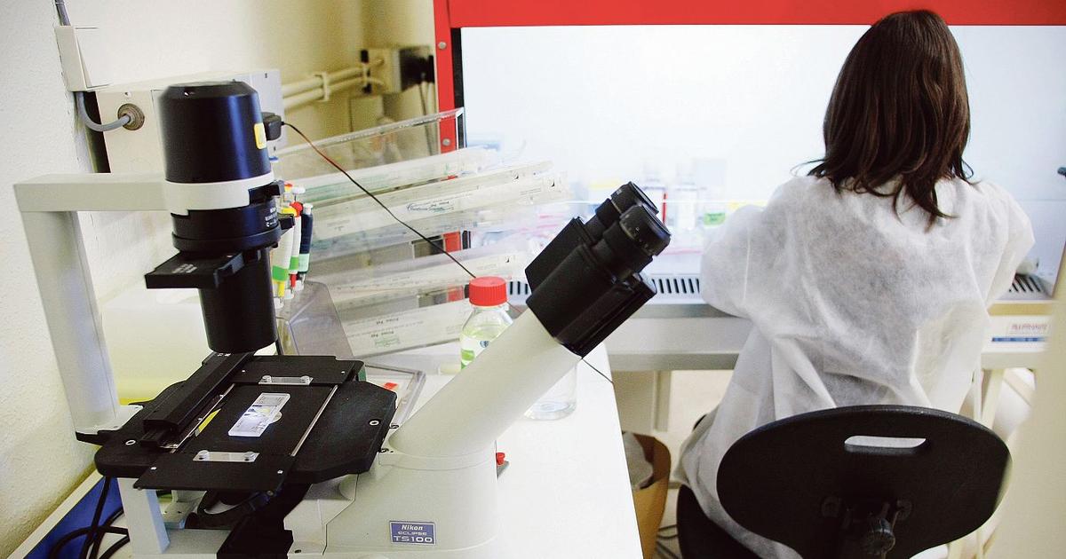 Fraude scientifique: une guerre de rapports «anonymes» empoisonne le CNRS