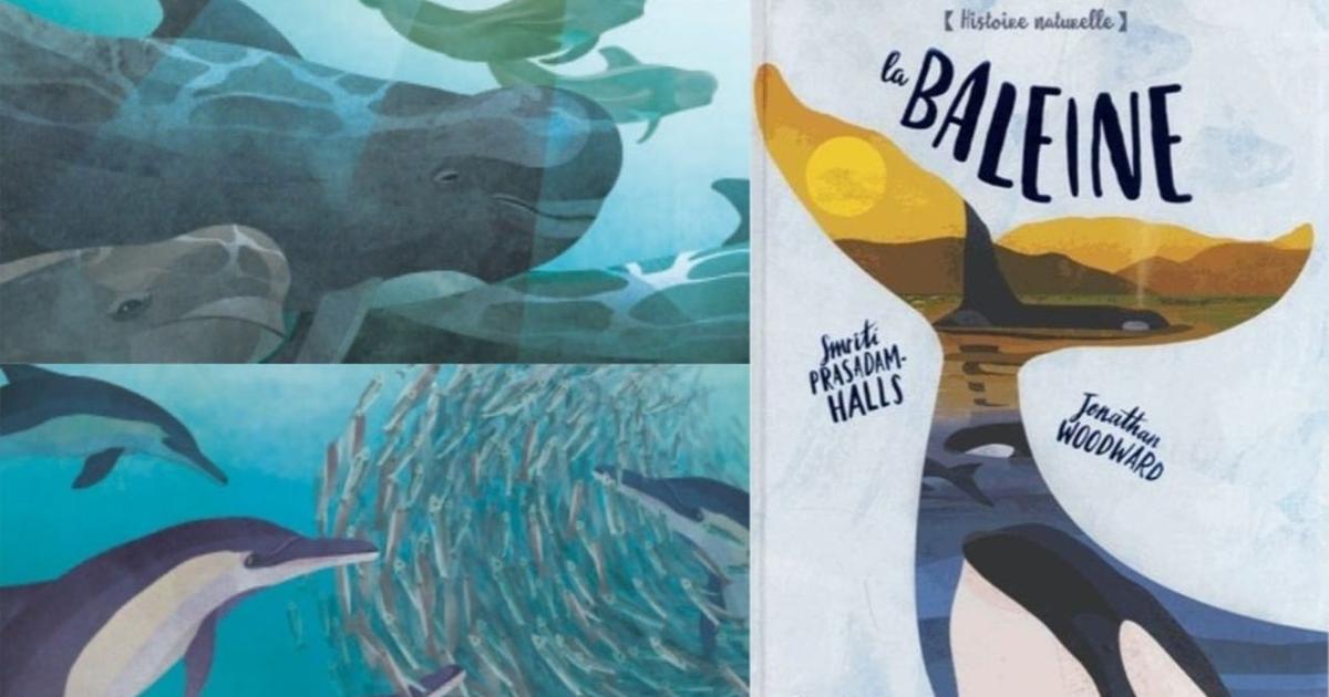 Livre jeunesse : à la découverte du monde mystérieux des baleines