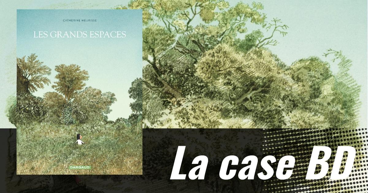 La Case BD : Les Grands Espaces ou la nature magnifiée par l'imaginaire ...