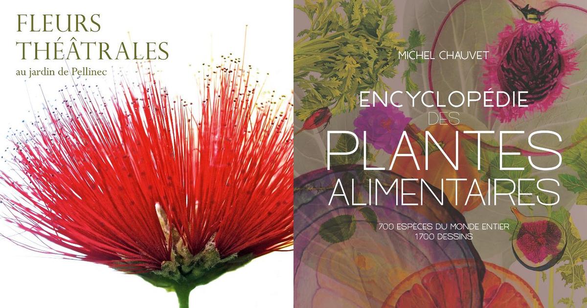 Noël: notre sélection de beaux livres sur les plantes et le jardin