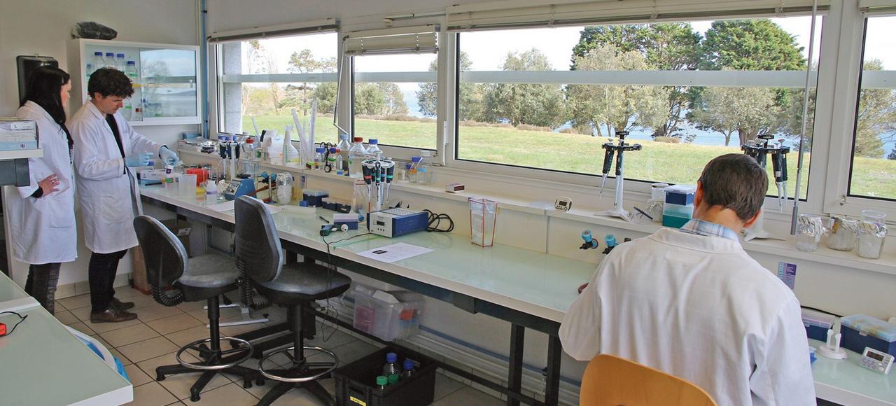 À Brest, l'Ifremer plonge dans les abysses