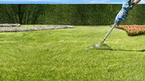 Jardin: gardez votre gazon bien vert