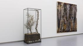 Sur les traces de Joseph Beuys, mythe de l’art dans l’Allemagne d’après ...