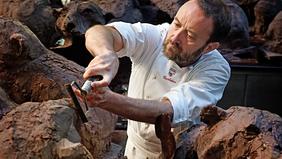 Patrick Roger, l’artiste du chocolat