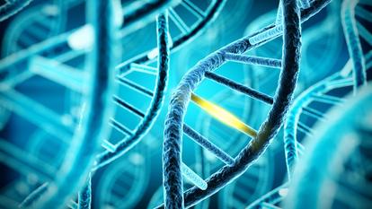 Demain, des humains génétiquement modifiés?