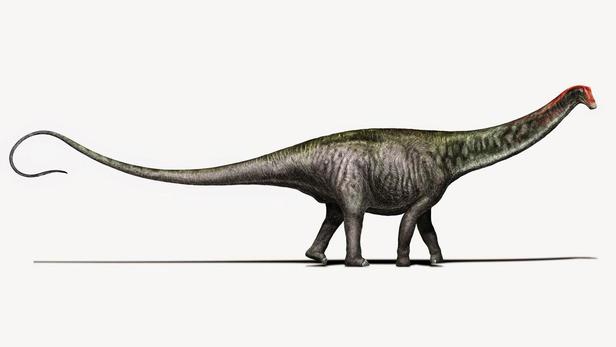 Le brontosaure retrouve sa place au panthéon des dinosaures