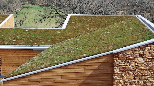Toits végétalisés: l'écologie sur la bonne pente
