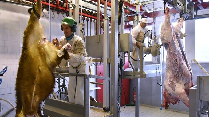 Ces éleveurs qui prônent l'abattage à la ferme
