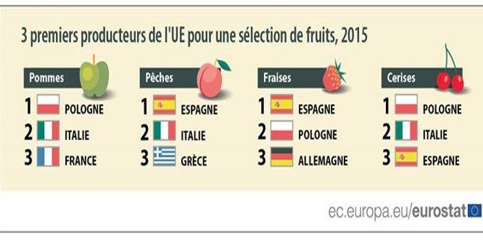 Production de fruits et légumes : la France à la traîne en Europe