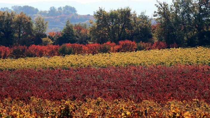 5 sites aux couleurs de l'automne
