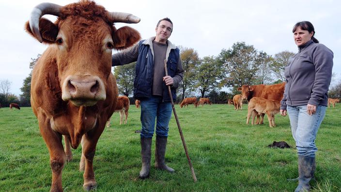 C'est la France qui contribue le plus à la production agricole de l'UE