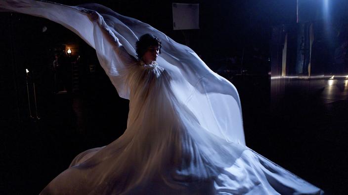 La Danseuse : Loïe Fuller, un papillon dans la lumière