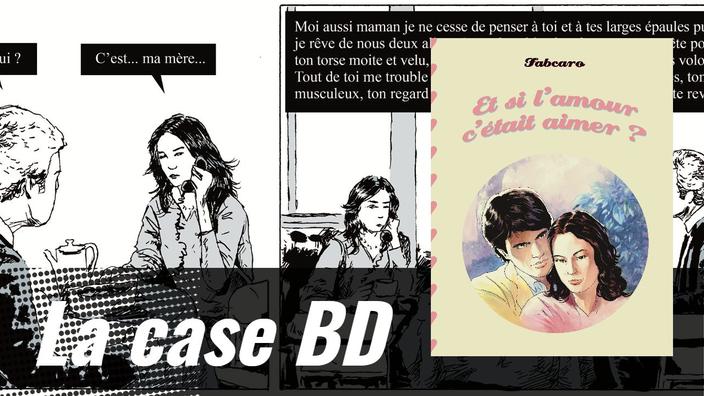 La Case BD: Et si l'amour c'était aimer? ou l'album à offrir pour la ...