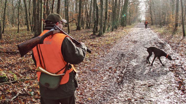 Le prix du permis de chasse divisé par deux