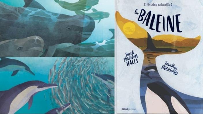 Livre jeunesse : à la découverte du monde mystérieux des baleines