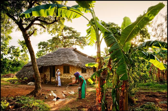 Pemba, l'Afrique en douce