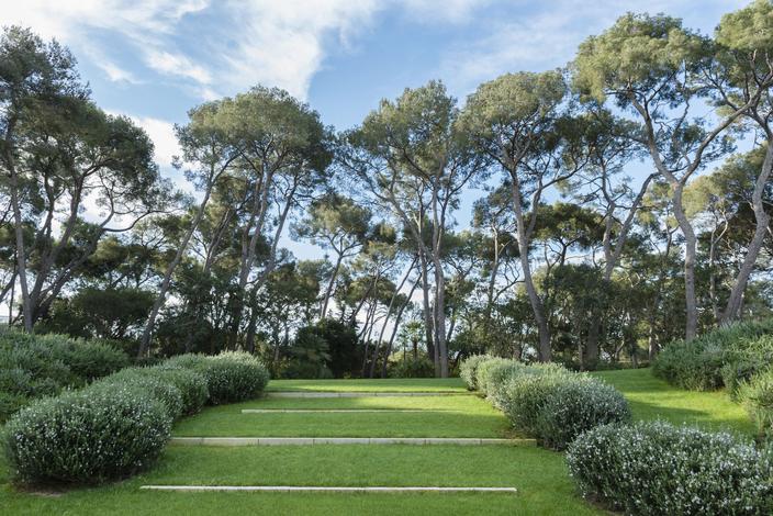 L'actualité du jardin, conseils et décorations tendances en jardinage
