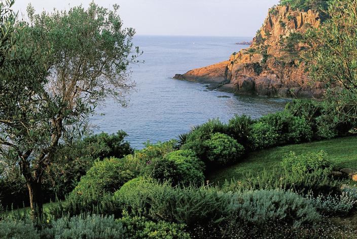 Jean Mus, l'homme aux 1500 jardins