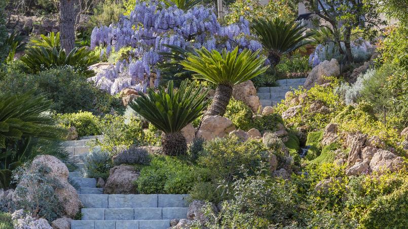 Jean Mus, l'homme aux 1500 jardins