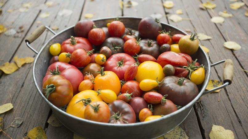 Comment redonner leur goût aux tomates Comment redonner leur goût aux tomates