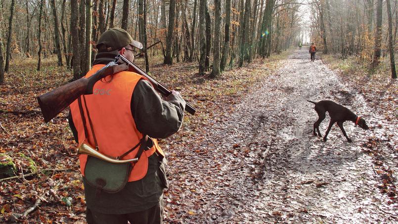 Le prix du permis de chasse divisé par deux