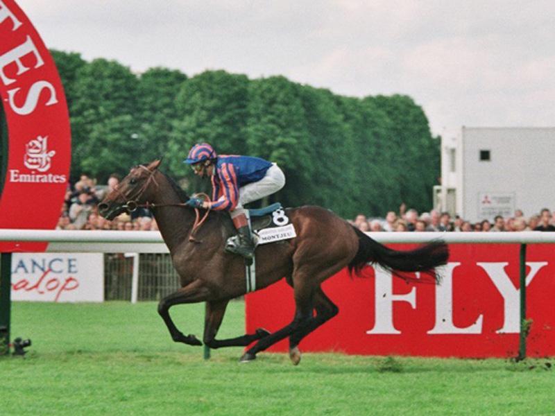 Prix du Jockey Club : les champions des dernières années