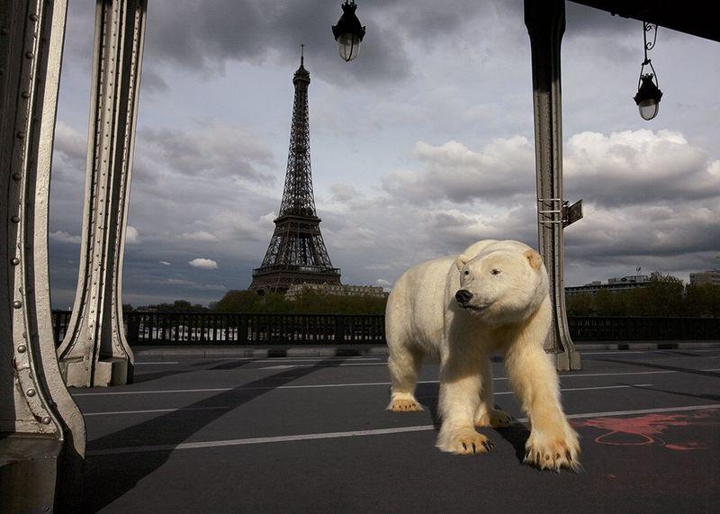 Les animaux envahissent Paris