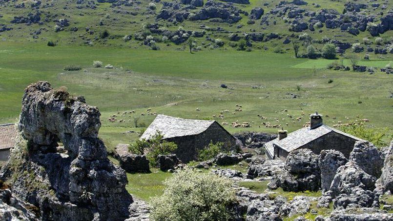 À la découverte des magnifiques paysages des causses, classés par l'Unesco