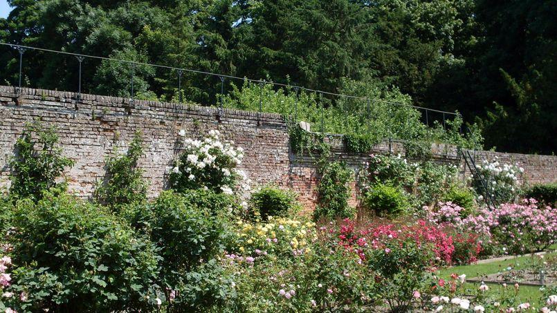En piste pour le tour de France des roseraies