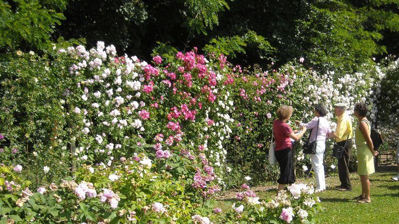 En piste pour le tour de France des roseraies