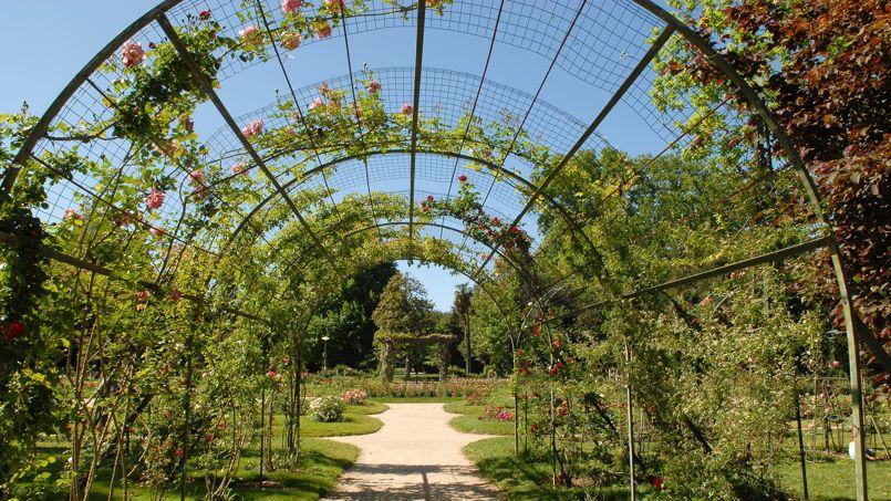 En piste pour le tour de France des roseraies