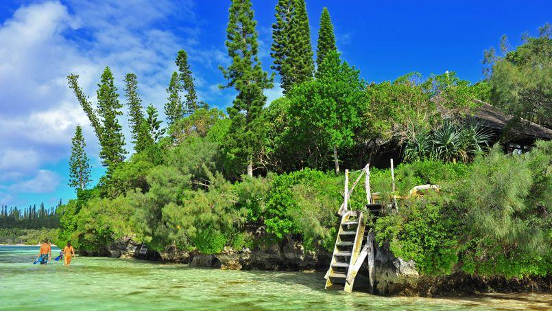 Nouvelle-Calédonie : Paradis et pins bénis