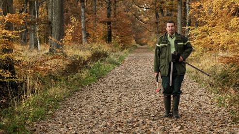 Filière bois : une journée avec un agent de l'ONF