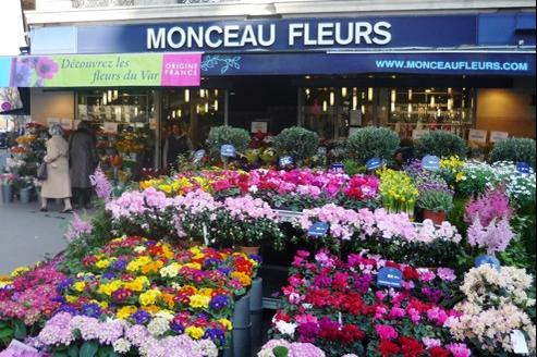 Nouveau printemps pour Monceau Fleurs
