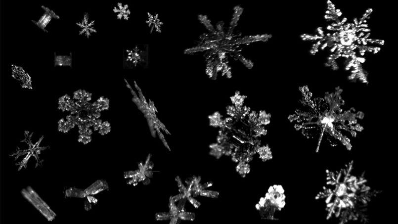 Les flocons de neige photographiés en plein vol