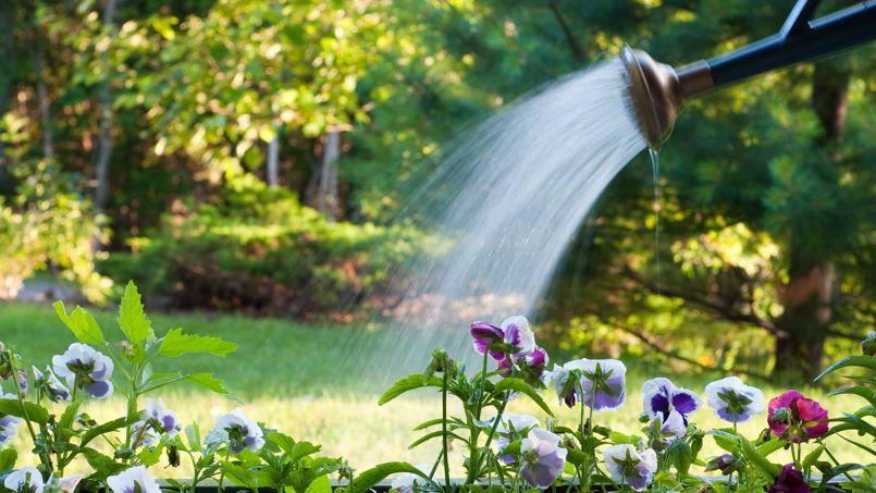 Au jardin ce week-end : préparez votre départ en vacances