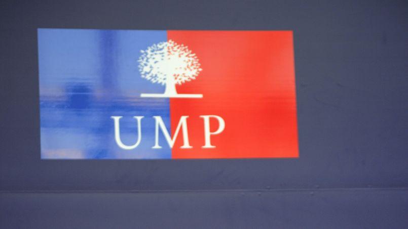 «Avec un leader, l'UMP parviendra à surmonter ses désaccords»