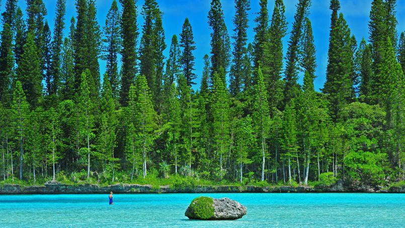 Nouvelle-Calédonie : Paradis et pins bénis