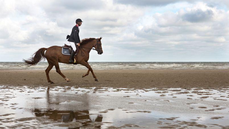 La Normandie, bastion du cheval de compétition