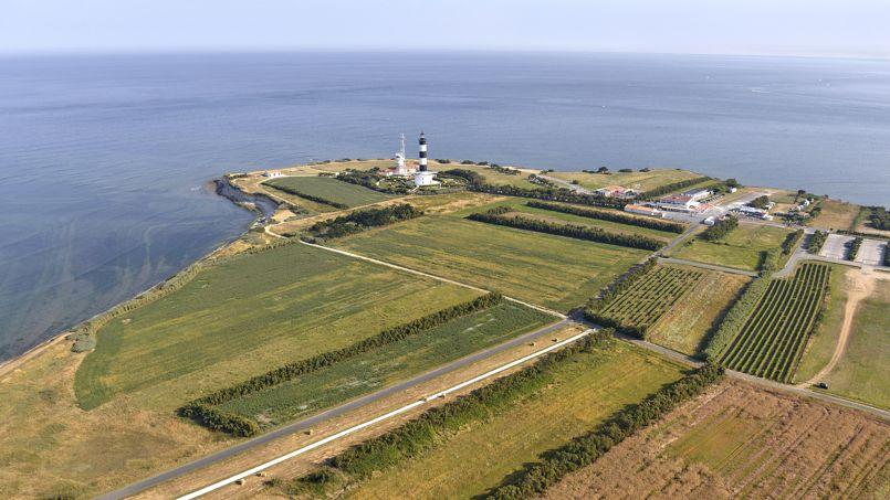 Y aura-t-il des éoliennes au large d'Oléron
