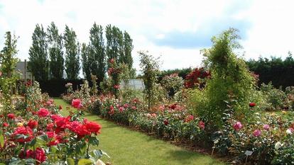 En piste pour le tour de France des roseraies