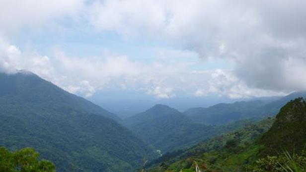 Biodiversité : cap sur la Papouasie Nouvelle-Guinée